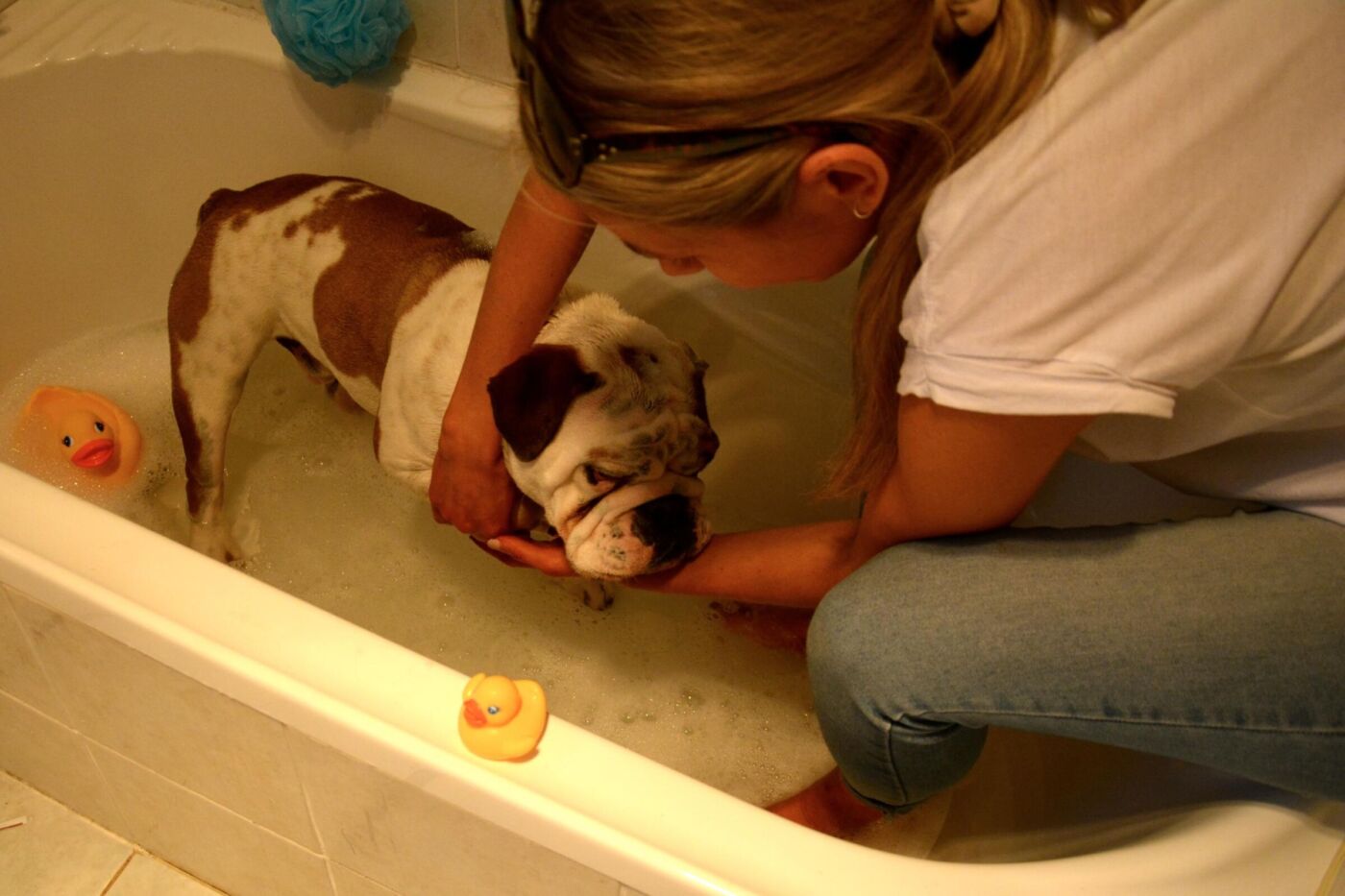 Pet Bathing Tips & Hot Water Safety | Australian Hot Water